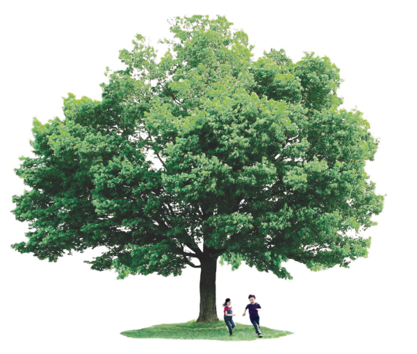 Strip Ceiling - Shera Board Indonesia